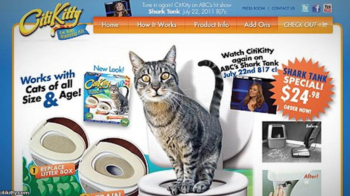 Latih Kucing Buang Air di Toilet, Untungnya Miliaran Rupiah - Bisnis ...