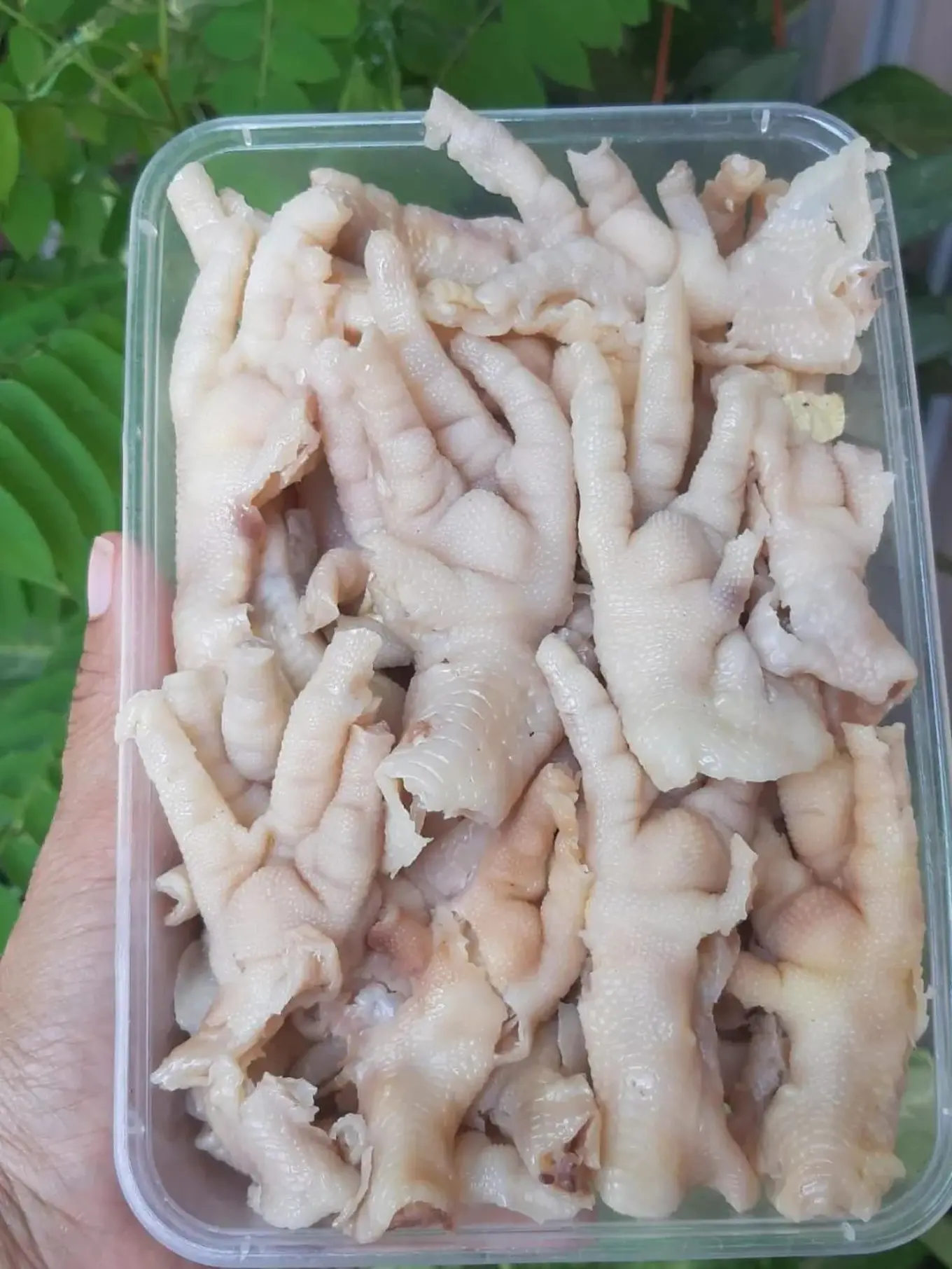 Hanya 12 Menit, Ini Trik Praktis Rebus Ceker Ayam Agar Empuk dan Mudah ...