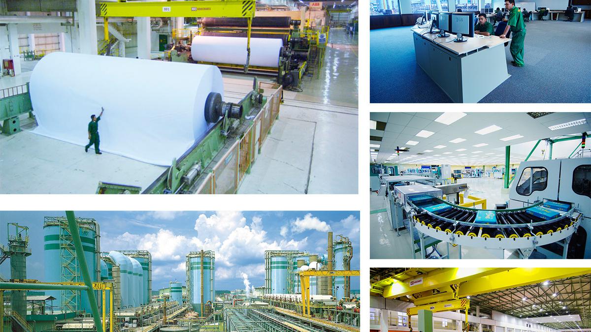 Profil PT RAPP, Produsen Kertas Berkelanjutan Terbesar di Indonesia