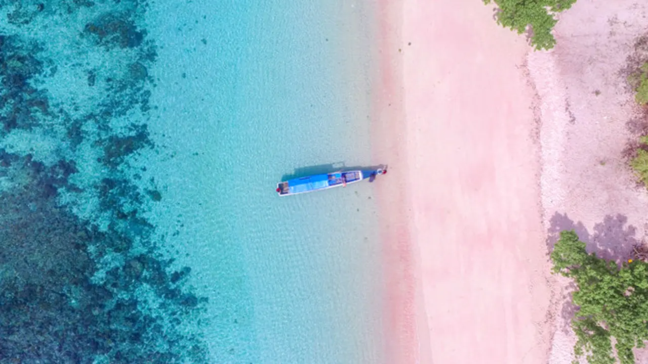 Mengenal Pink Beach, Salah Satu Pantai Tercantik di Indonesia ...