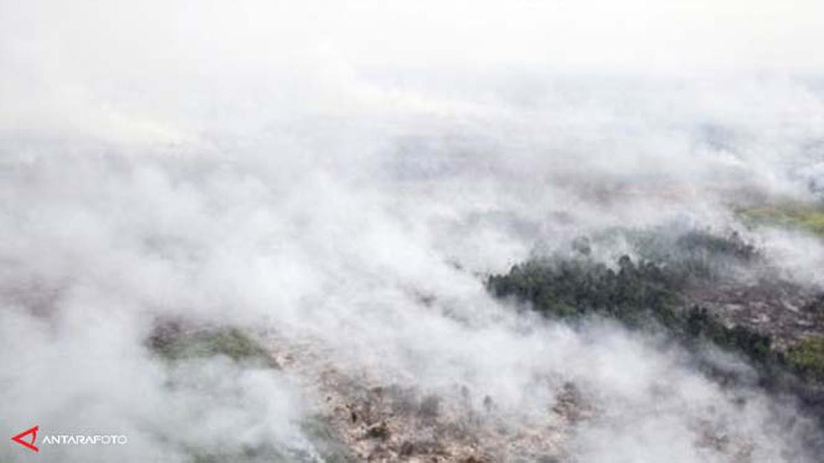 `Hujan Buatan` Efektif Kurangi Titik Api di Riau, 253 Jadi 53 - News ...