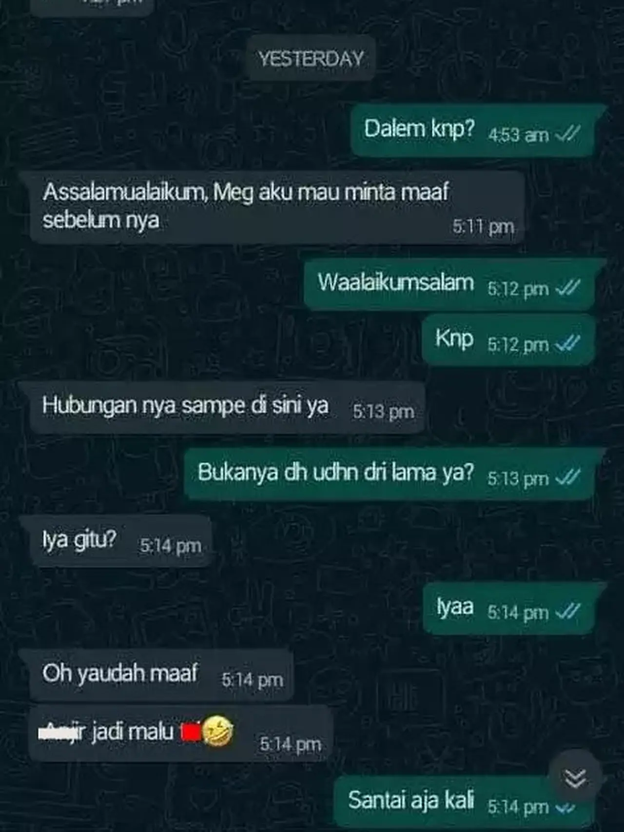 10 Chat saat Diputusin Pacar Ini Bikin Senyum Kecut - Hot Liputan6.com
