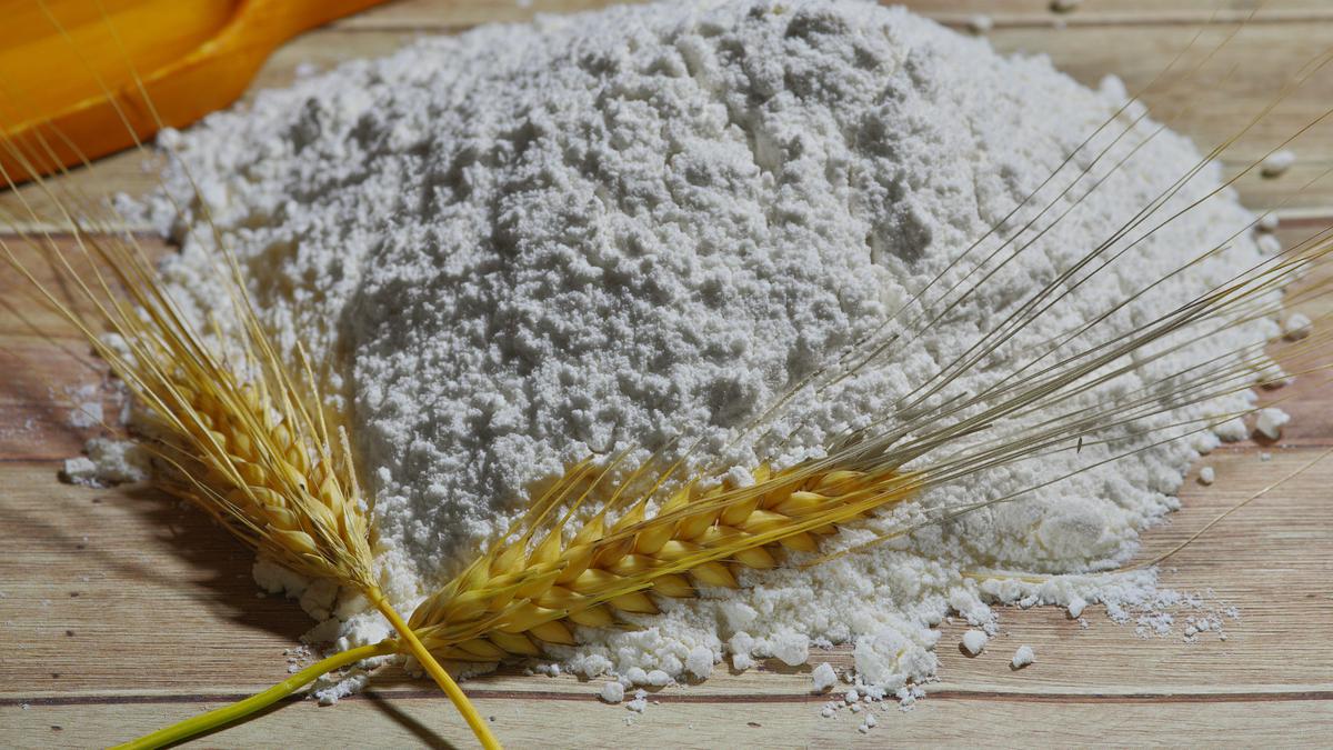 Mendag Pastikan Stok Gandum di Indonesia Cukup, Dari Mana Pasokannya ...