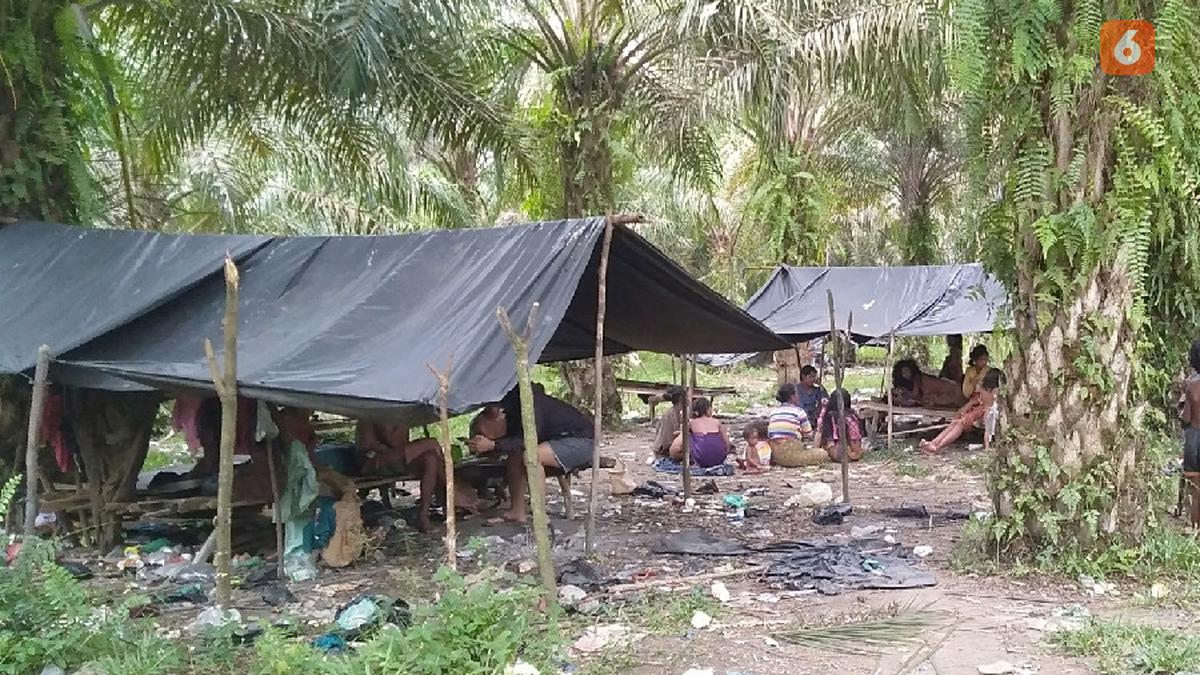 Hutan Tak Lagi Hijau: Kisah Orang Rimba di Tengah Impitan Perubahan Iklim