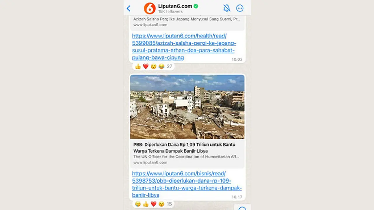 Liputan6.com Hadir di WhatsApp Channel, Yuk Follow untuk Update Berita ...