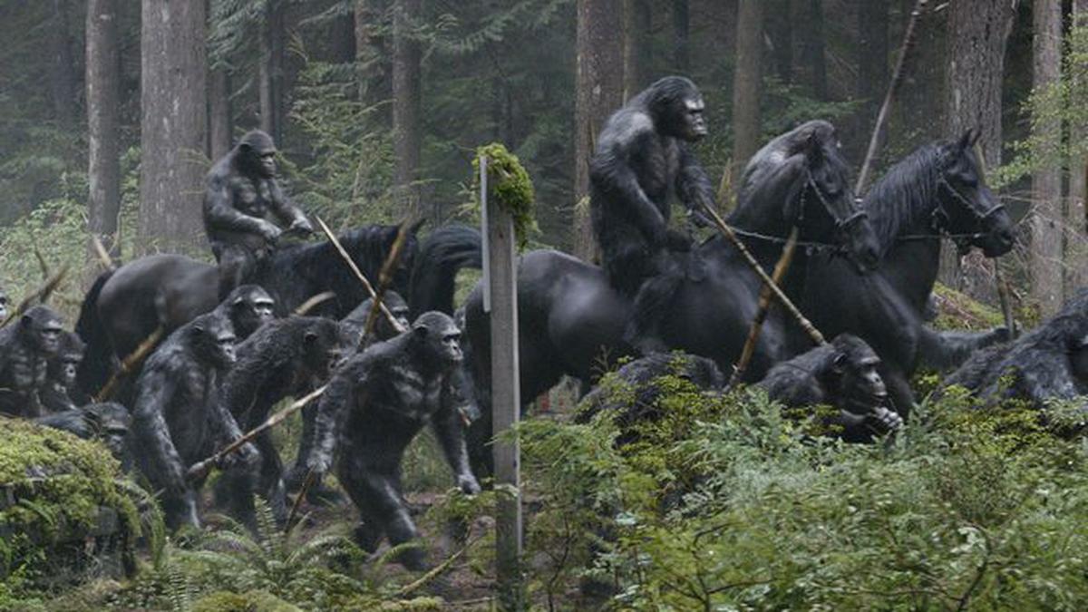 Foto-foto Terbaru Dawn of the Planet of the Apes - ShowBiz Liputan6.com