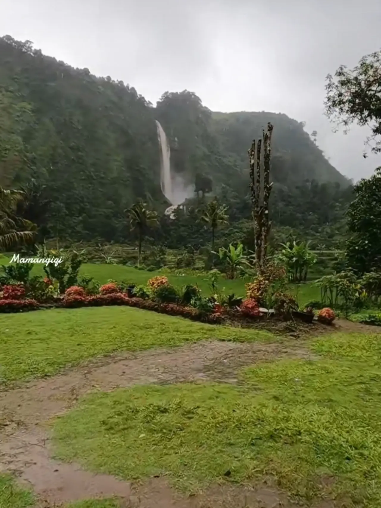 8 Potret Rumah Kayu View Air Terjun Ditawar Rp 2 Miliar tapi Ditolak, Menakjubkan - Hot Liputan6.com