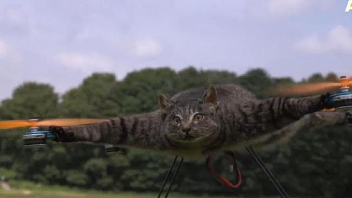 Meski Sudah Mati, Hewan-Hewan Ini Bisa Terbang - Citizen6 Liputan6.com