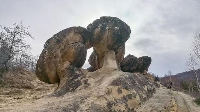Batu Ini 'Beranak' dan Bergerak Setiap Seribu Tahun Sekali, Bak Hidup
