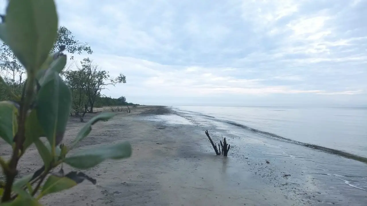 Pantai Plasma Senipah di Tanjung Harapan, Destinasi Wisata Bahari yang ...