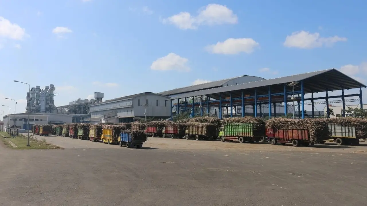 PTPN Group Kantongi Laba Rp 14,9 Triliun dalam 4 Tahun - Bisnis ...