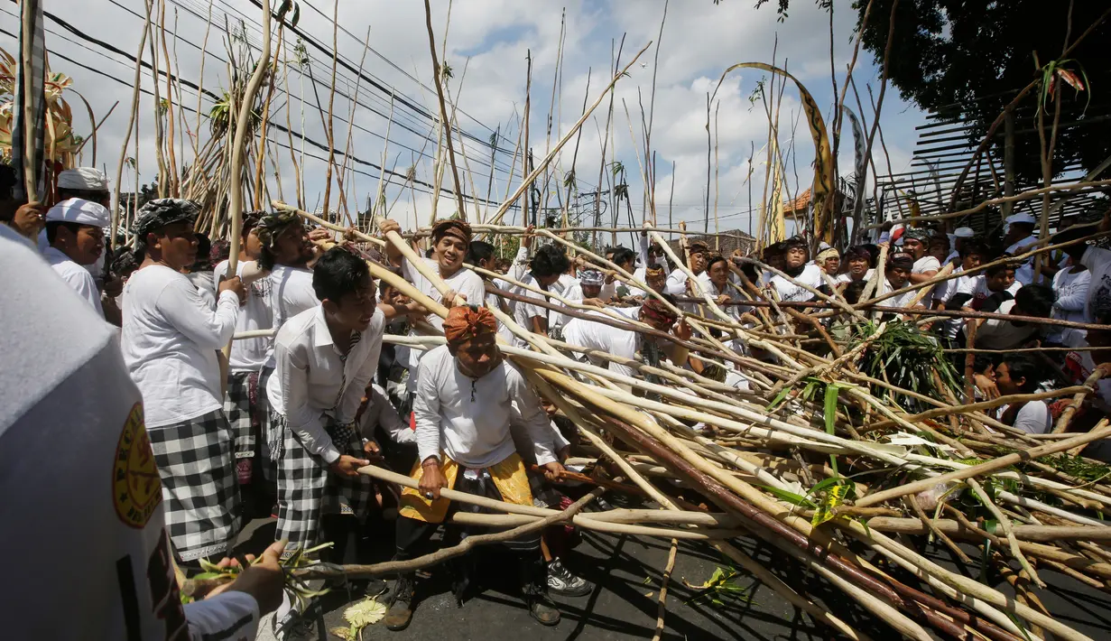 PHOTO: Naik Kepuncak Tongkat, Begini Keseruan Ritual Makotek di Bali ...
