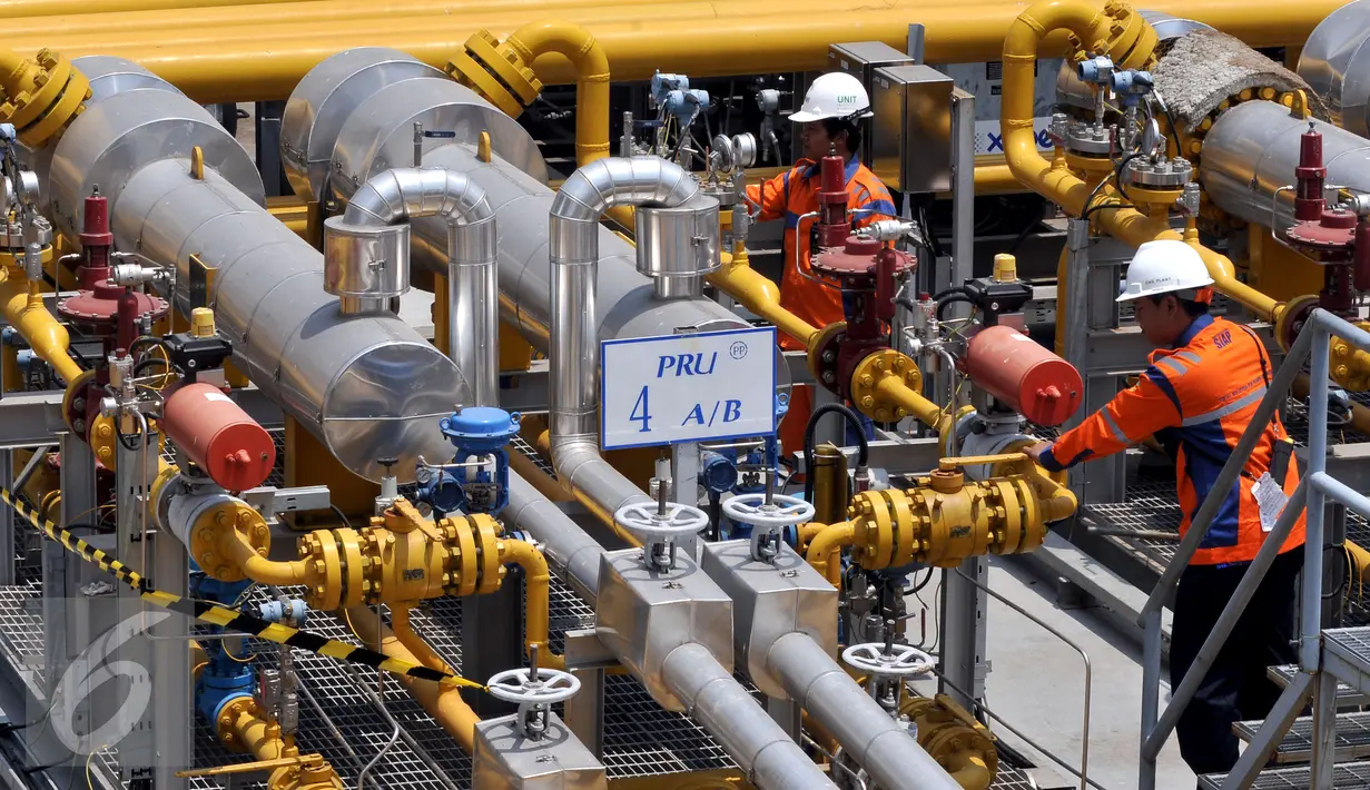 Kontribusi CNG Plant akan Dinaikan Menjadi 30 Persen - Foto Liputan6.com
