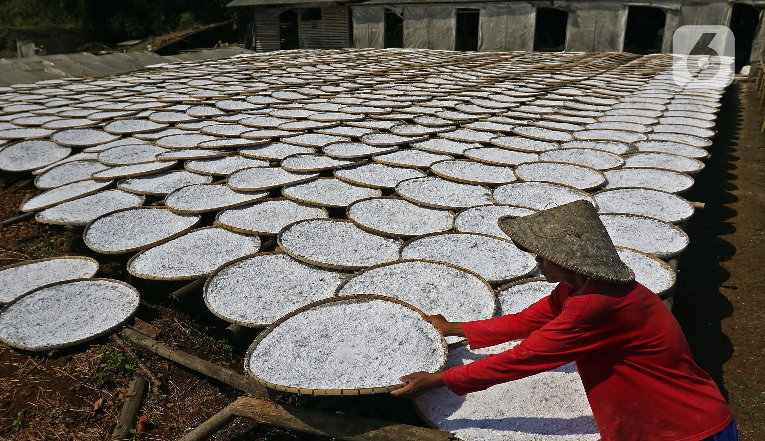 FOTO: Industri Pembuatan Tepung Tapioka Terdampak Pandemi COVID-19 ...