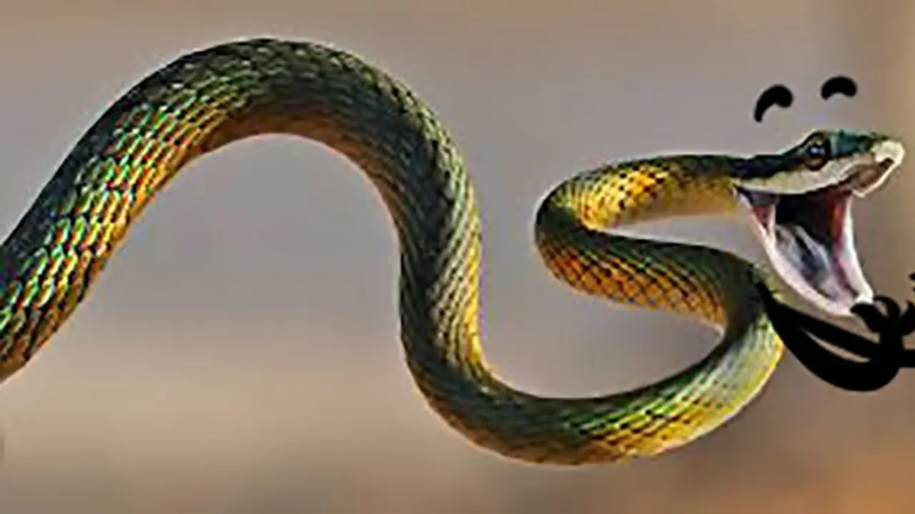 6 Editan Foto Ular Ekspresi Kaget Ini Absurd, Gagal Tampak Seram - Hot ...