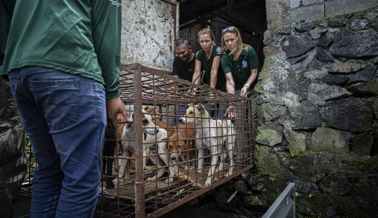 Pasar Ekstrem Tomohon Mengakhiri Perdagangan Daging Anjing dan Kucing ...