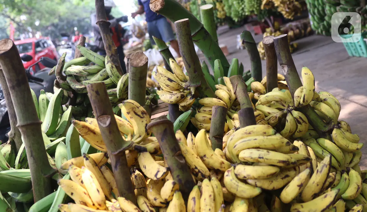 FOTO: Terdampak Pandemi, Penjualan Pisang di Pasar Tradisional Lesu ...