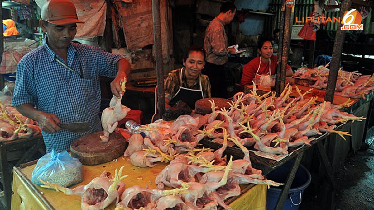 Harga Daging Ayam Melesat ke Rp 42 Ribu per Ekor - Bisnis Liputan6.com