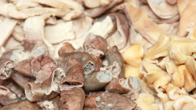 Cara Merebus Jeroan Agar Tidak Bau Amis Tanpa Perlu Cuci Berulang Kali ...