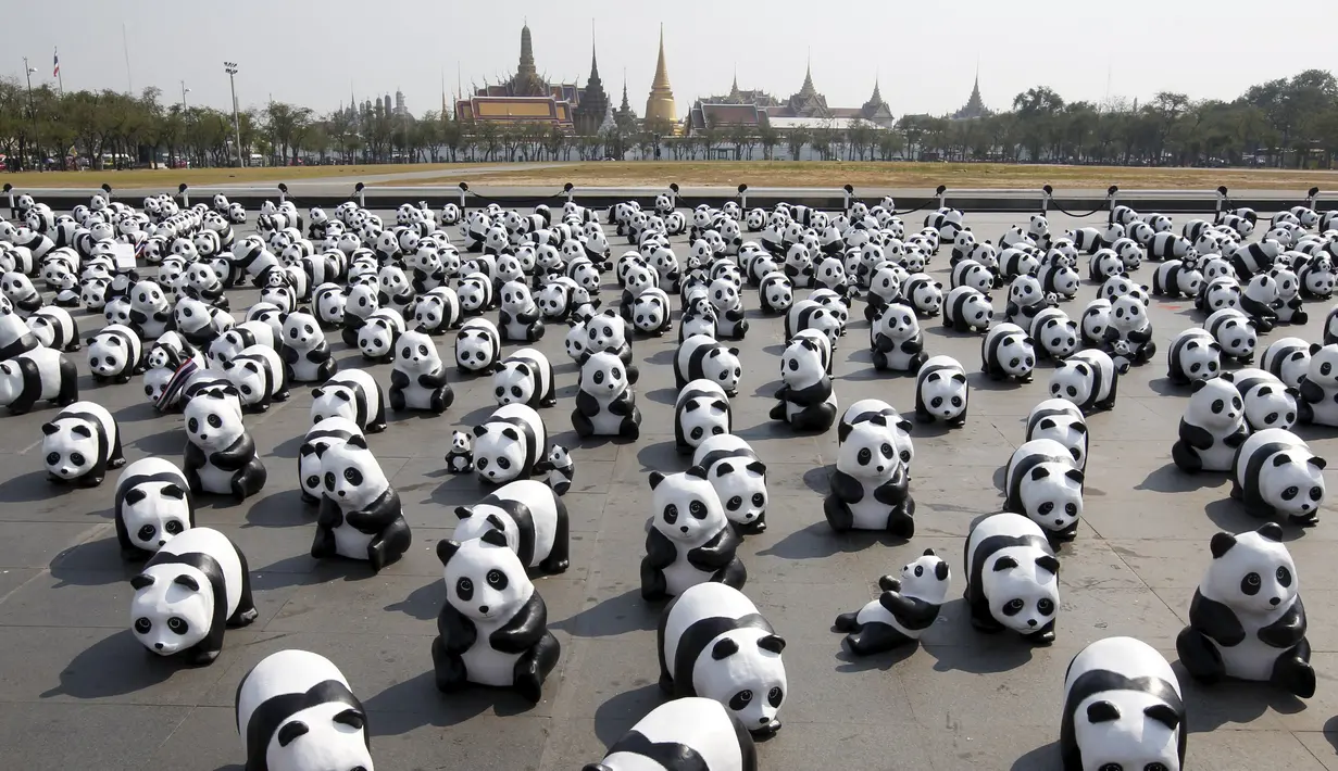 Heboh, Ribuan Panda Serbu Istana Thailand - Foto Liputan6.com