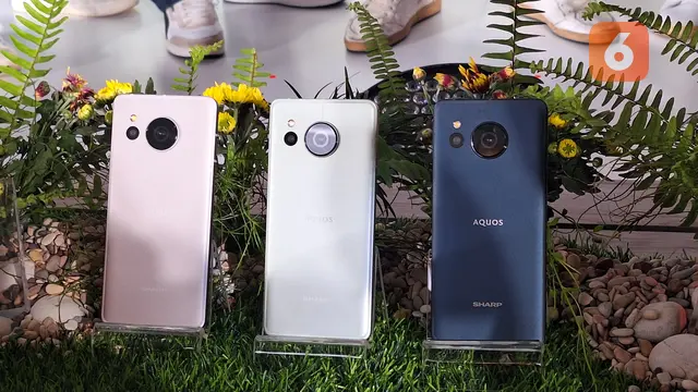 Sharp Aquos Sense8 Resmi Rilis di Indonesia, HP 5G Harga Rp 5,9 Jutaan ...