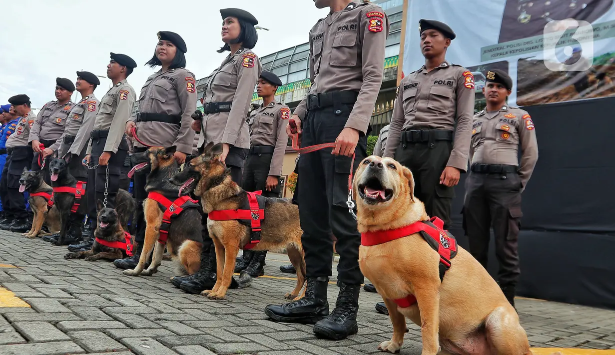 Polri Kirim 26 Personel dalam Misi Kemanusiaan Gempa Turki dan Suriah ...