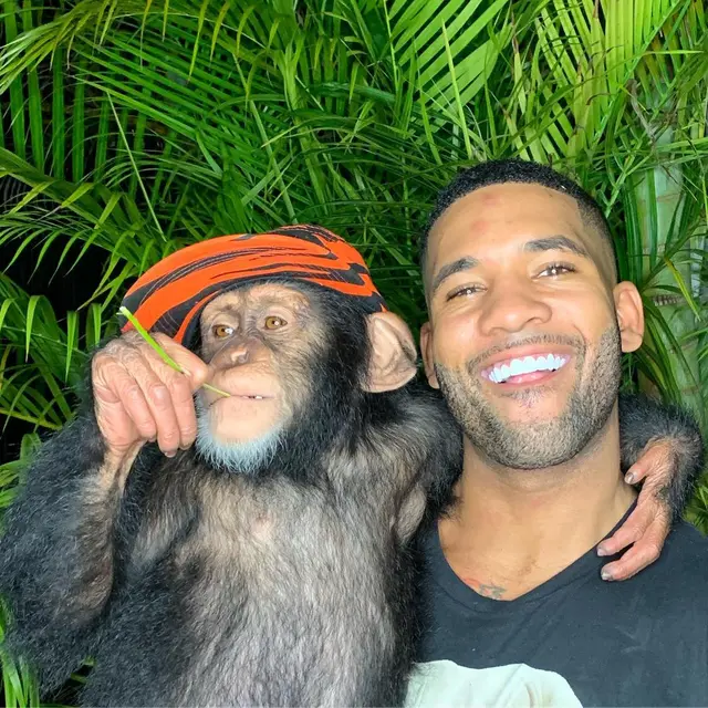 Ancaman di Balik Video Simpanse Main Instagram yang Viral - Lifestyle ...