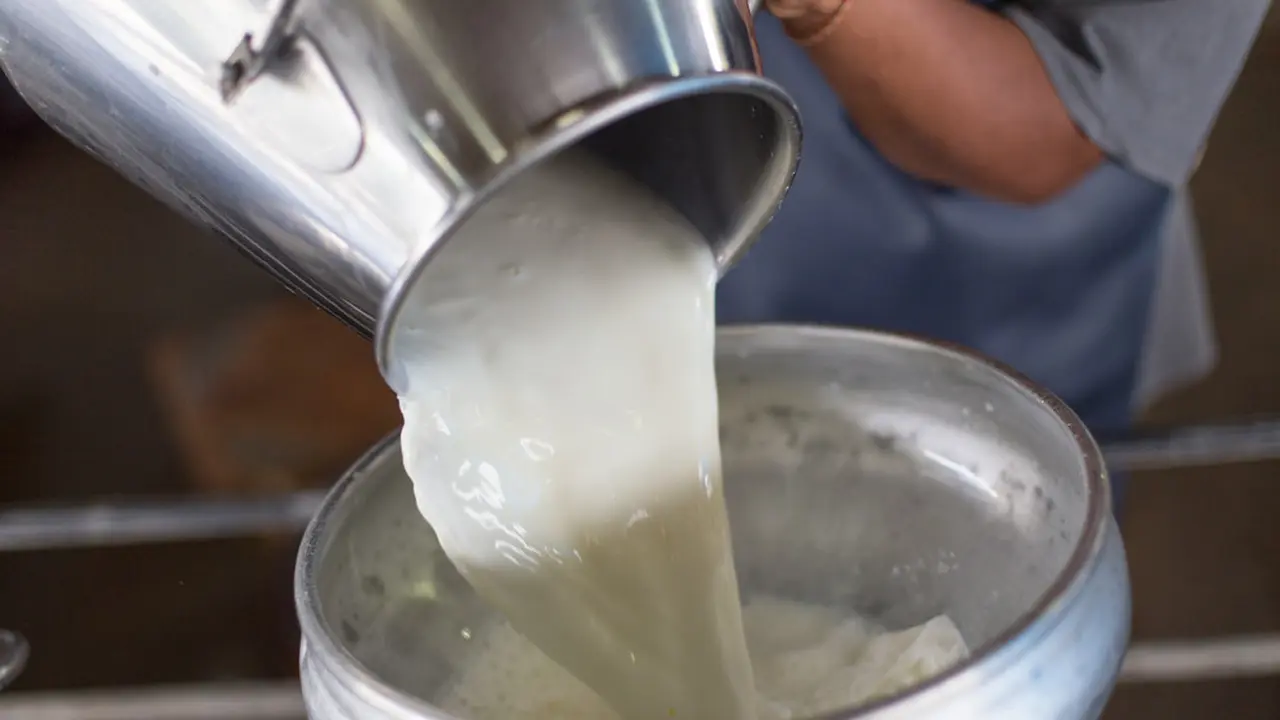 Susu Kental Manis Frisian Flag Gold Lezatkan Sarapan Harian - Food ...