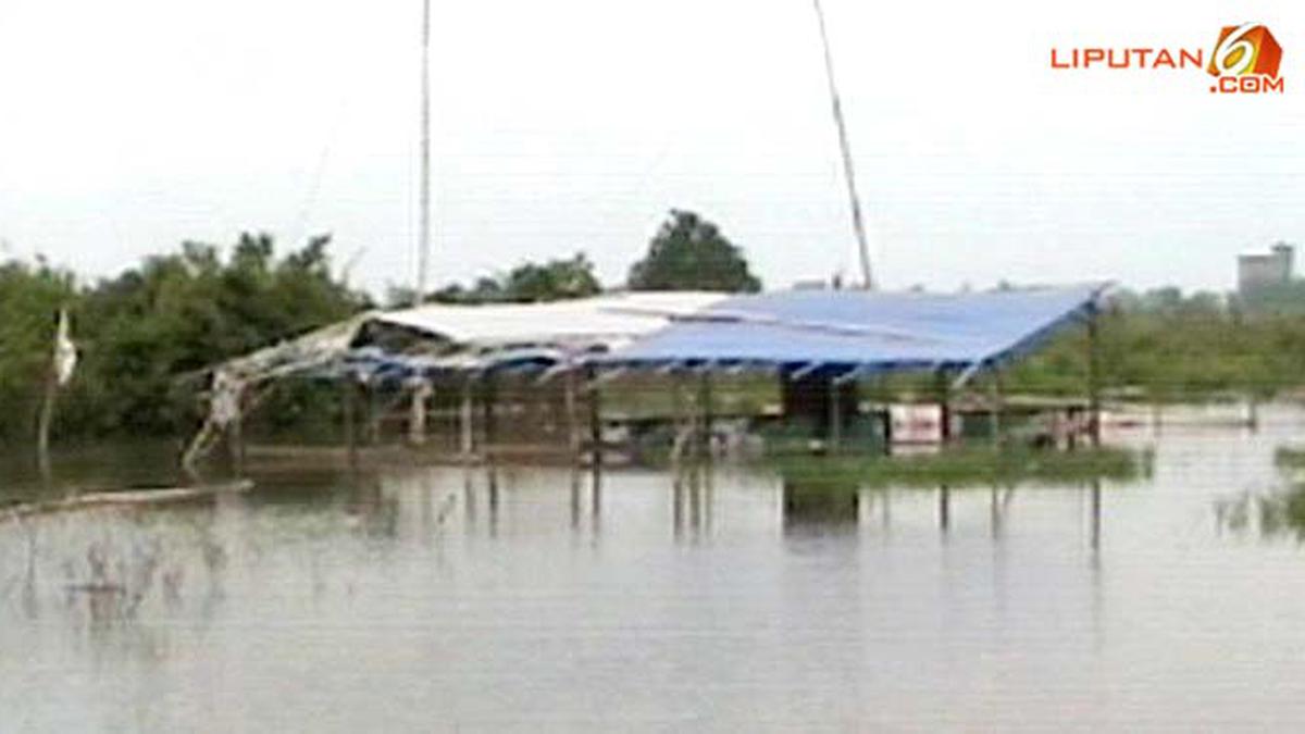VIDEO: Luapan Sungai Batanghari Rendam Ratusan Rumah - News Liputan6.com