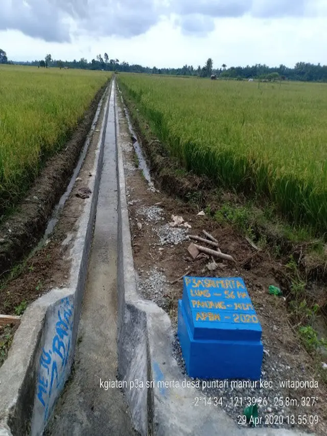 Kegiatan RJIT Kementan Perluas Areal Tanam di Desa Puntari Makmur ...