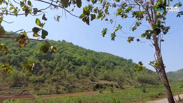 Wotawati, Transformasi Kampung Tersembunyi di Gunungkidul Jadi ...