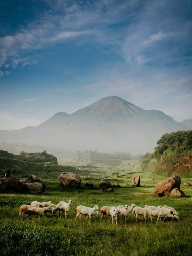 5 Potret Keindahan Ranu Manduro di Mojokerto yang Sempat Viral di ...