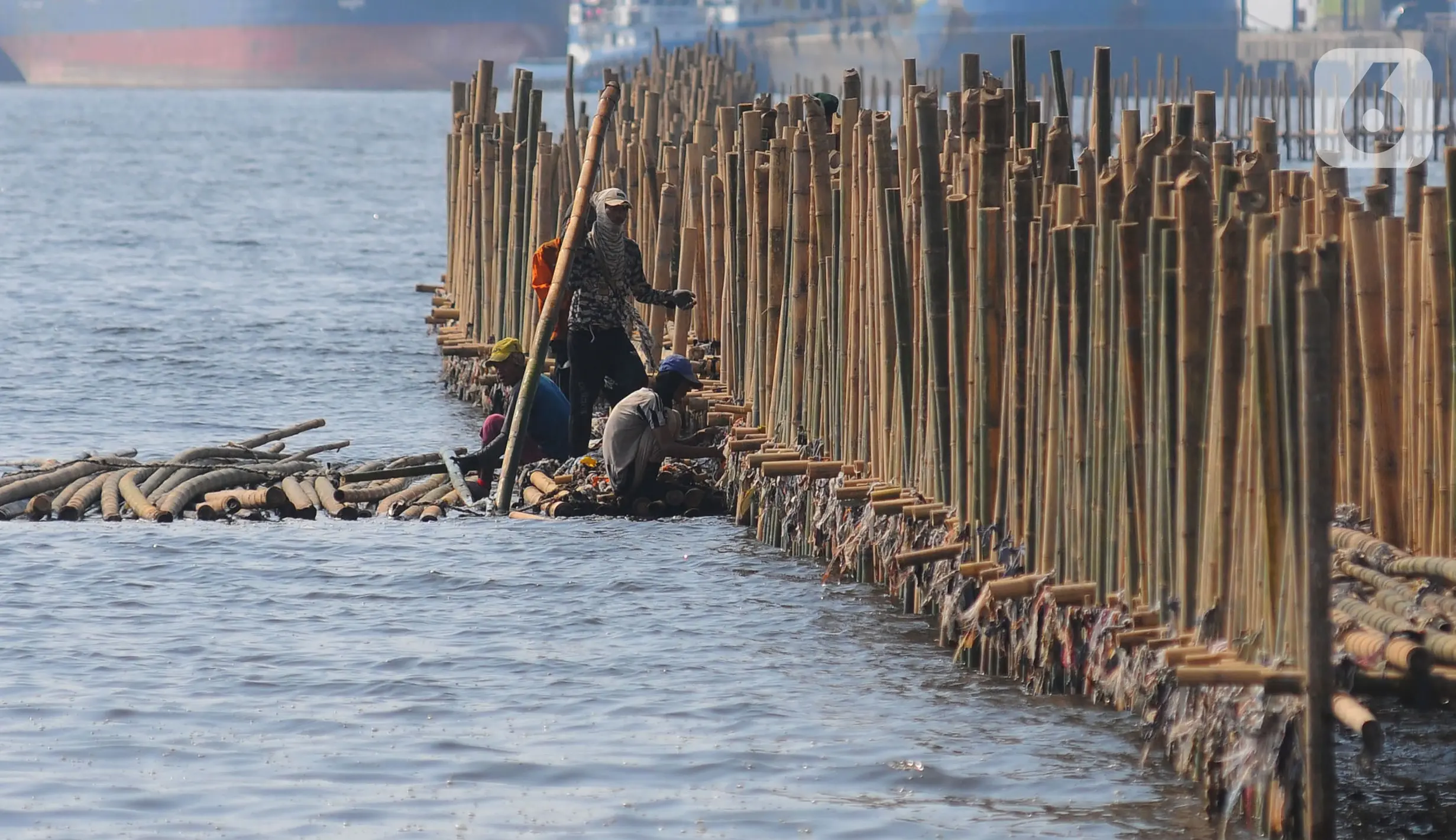 Tanggul Bambu Penangkal Abrasi di Pesisir Bekasi - Foto Liputan6.com