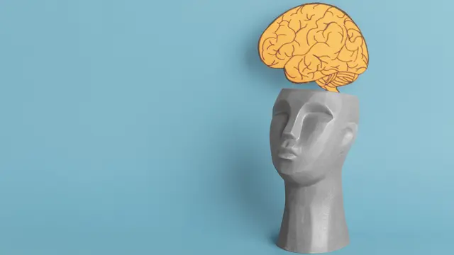 8 Cara Melatih Otak Kanan untuk Tingkatkan Kreativitas, Kenali Perannya ...