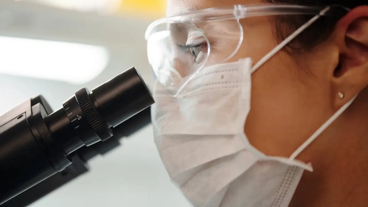 Cara Menggunakan Mikroskop Olympus, Stereo, dan Polarisasi, Jangan ...