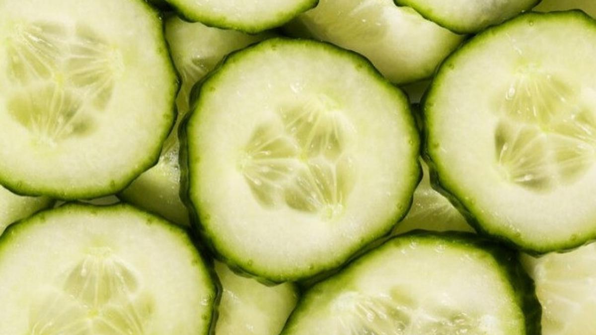 Bukan DIbungkus Tisu, Begini Cara Awetkan Timun Agar Tetap Segar Sampai ...