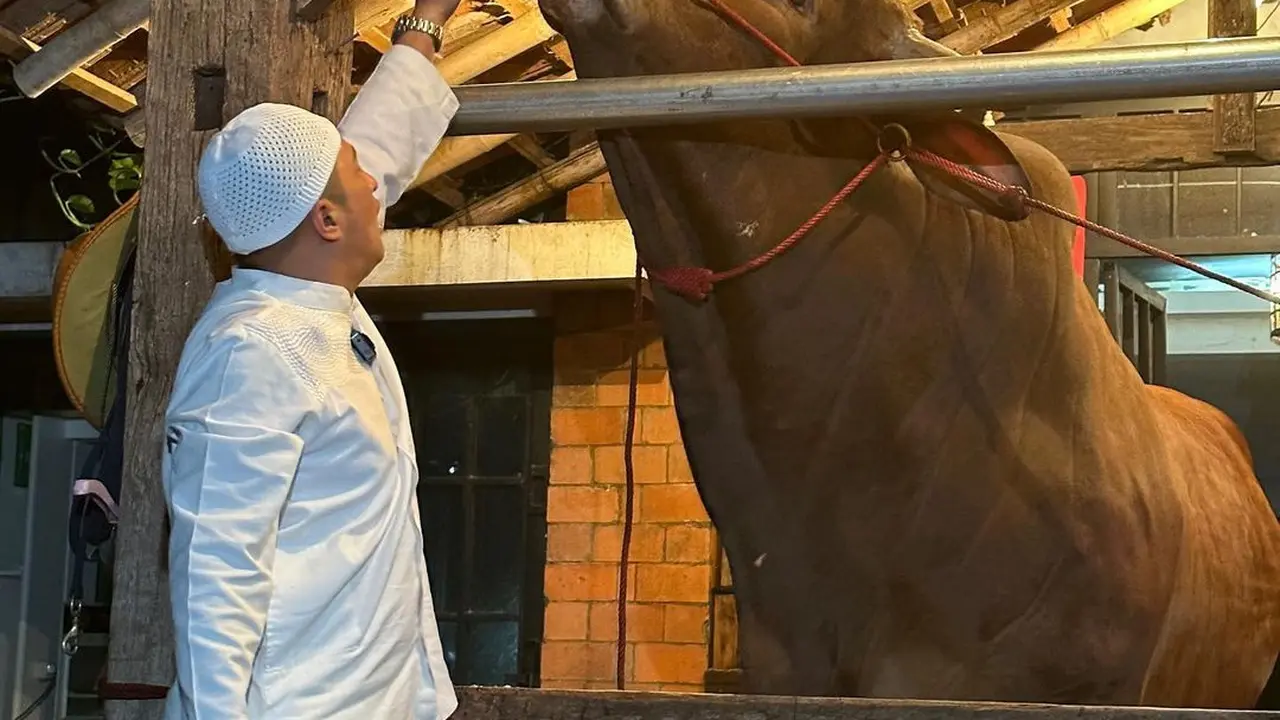 6 Potret Perpisahan Irfan Hakim dengan Wariso Si Sapi Kurban untuk Idul ...