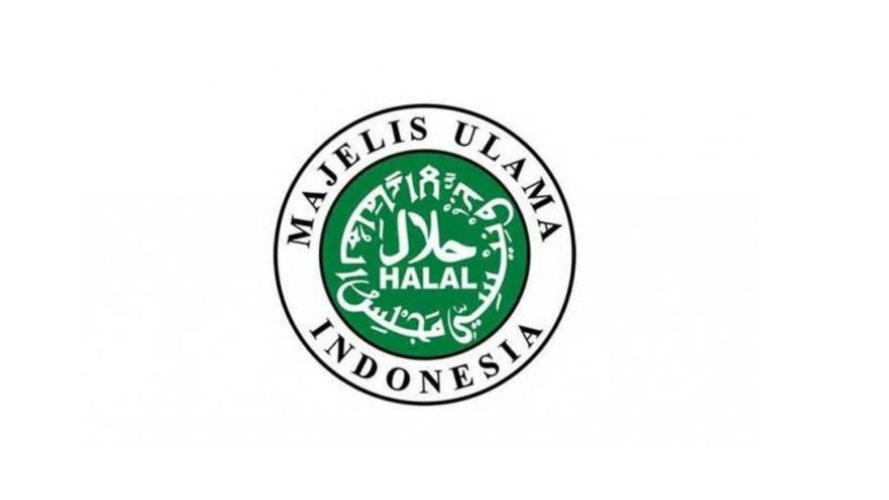MUI Adalah Salah Satu Lembaga Penting, Ini Sejarah Dan Tugasnya
