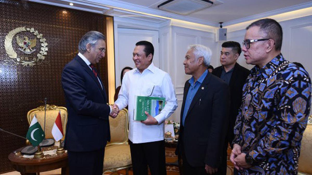 DPR Dorong Peningkatan Kerja Sama Indonesia-Pakistan