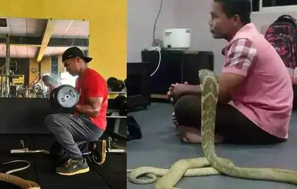 IMX 2018, Pestanya Pecinta Modifikasi - Otomotif Liputan6.com