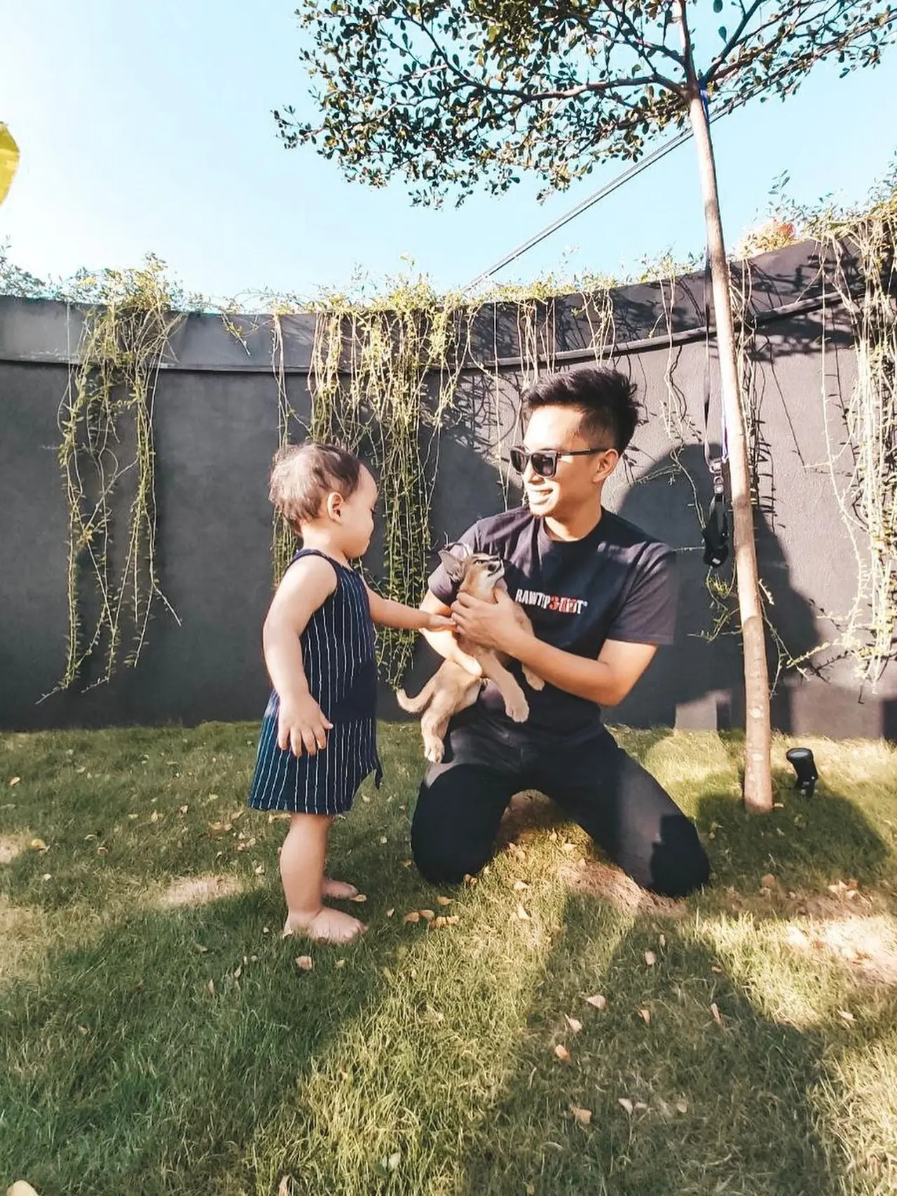 Mengenal Kucing Caracal, Hewan Eksotis yang Diduga Ditelantarkan Okin ...