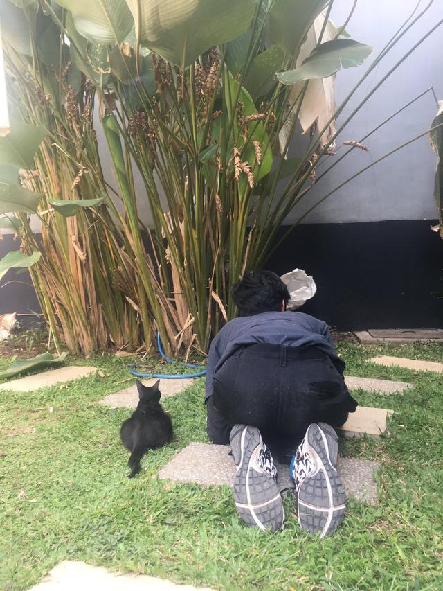 5 Potret Kelakuan Manusia Tiru Pose Kucing Ini Bikin Ketawa - Hot ...