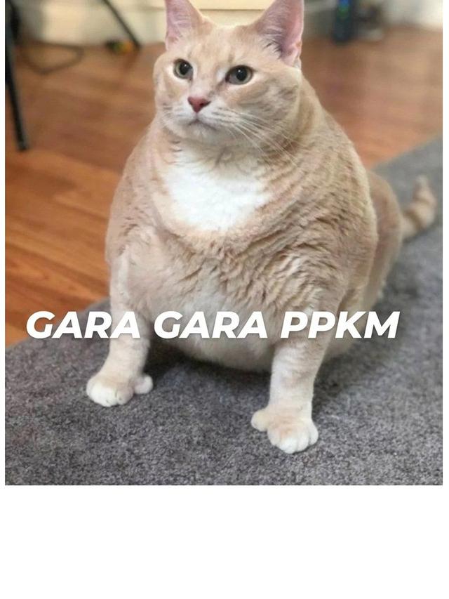 8 Meme PPKM Level 4 Lucu Ala Netizen Ini Bikin Geleng Kepala