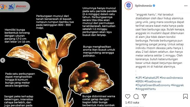 Anggrek Hantu dari Pulau Jawa Ditemukan di Vietnam - Lifestyle Liputan6.com