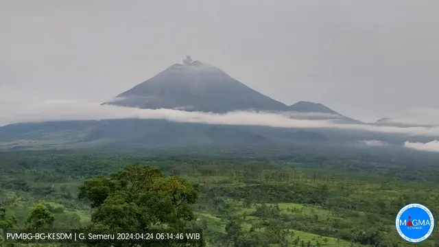 Gunung Semeru Erupsi Rabu Pagi 24 April 2024, Lontarkan Abu Vulkanik 600 Meter - Regional ...
