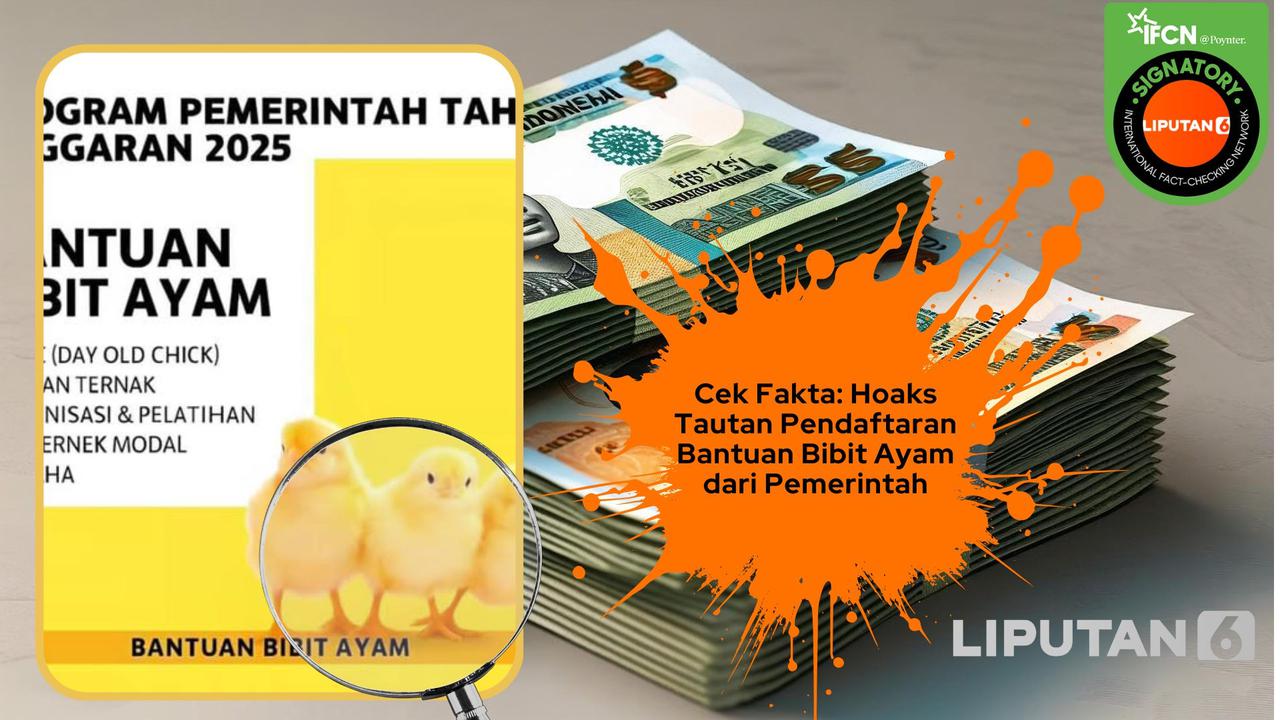 Ragam Hoaks Bantuan Bibit Ayam dari Pemerintah yang Beredar di Medsos ...