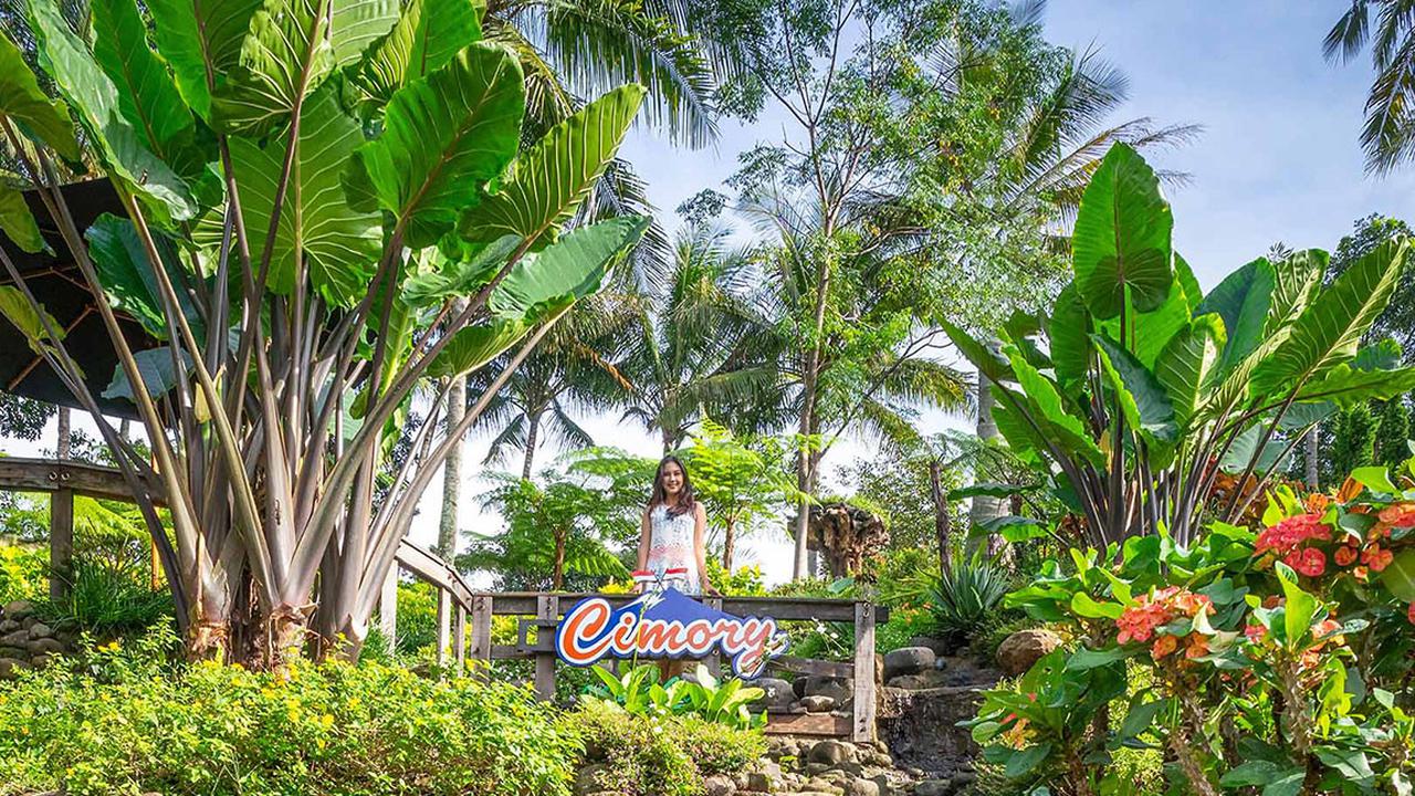 Cimory Semarang: Destinasi Wisata Edukasi dan Rekreasi yang ...