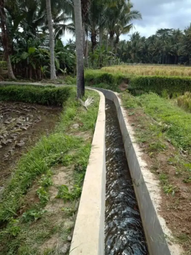 Kementan Gelar Kegiatan RJIT Guna Dukung Pertanian di Badung - Bisnis ...