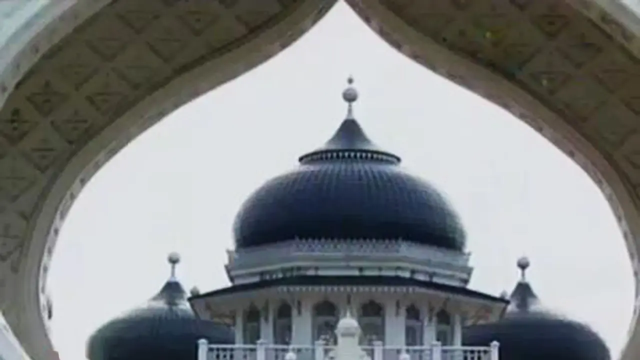 Bungong Jeumpa Berarti Bunga Cempaka, Ini Makna di Dalam Liriknya - Hot ...