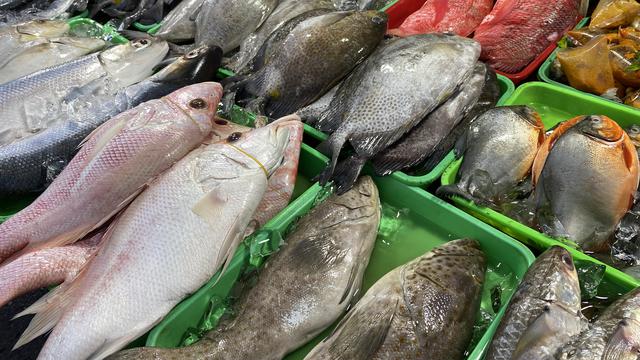 Pasokan Tersendat, Harga Ikan Segar Meroket di Sejumlah Pasar Tradisional